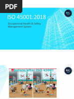 ISO 45001 -2018 | PDF | Occupational Safety And Health | Risk