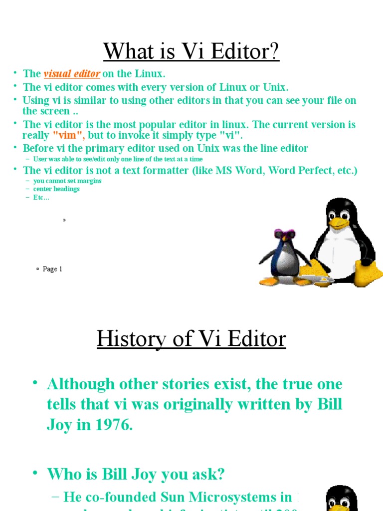 VI Editor | PDF