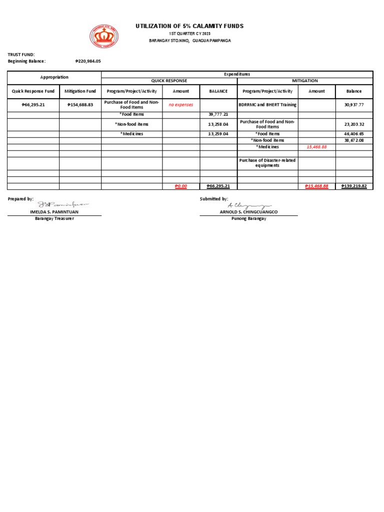 5 Utilization Brgy - Sto.nino BDRRM 1st Quarter 2023 | PDF