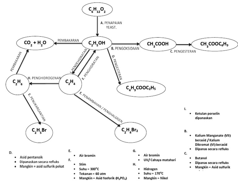 Peta Minda Sebatian Karbon | PDF