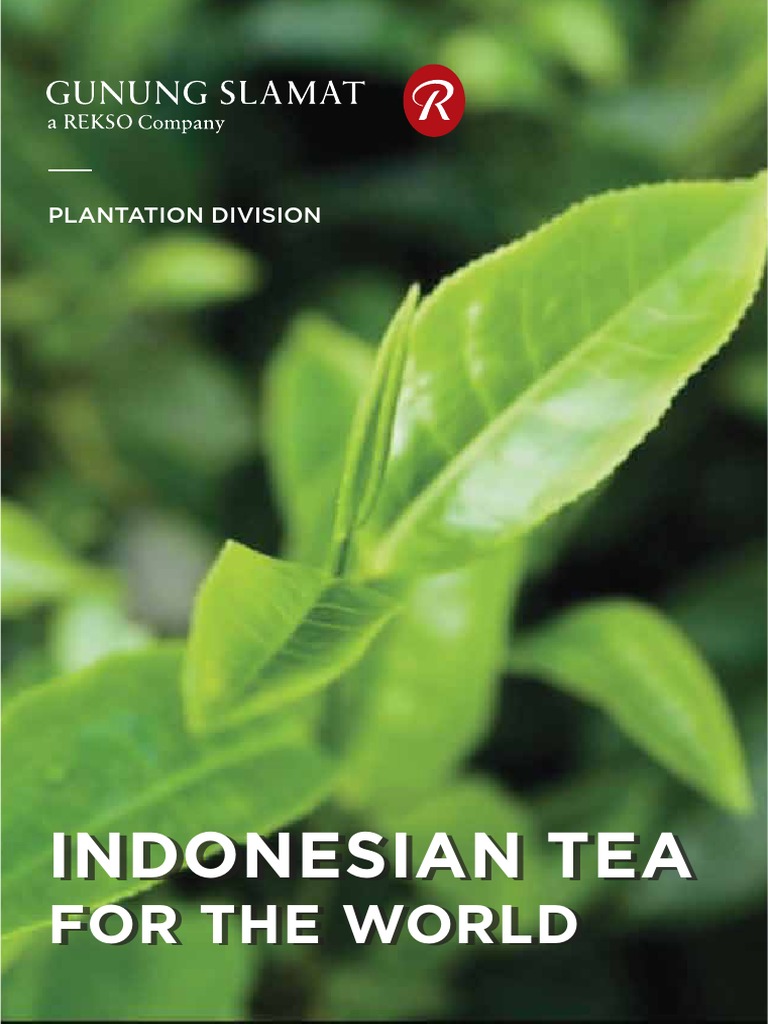 Brochure Plantation | PDF