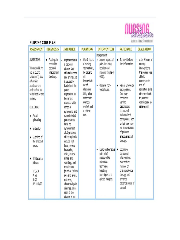 Leptospirosis Care Plan | PDF