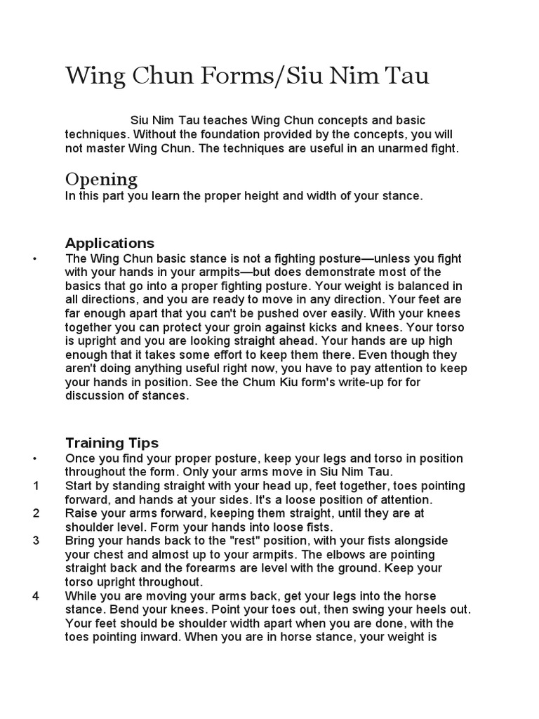 SIU NIM TAO EXPLANATION | PDF