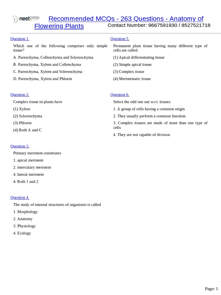 Anatomy of Flowering Plants | PDF