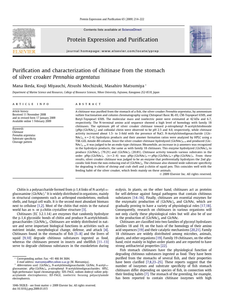 Purification and Characterization of Chitinase From The Stomach | PDF