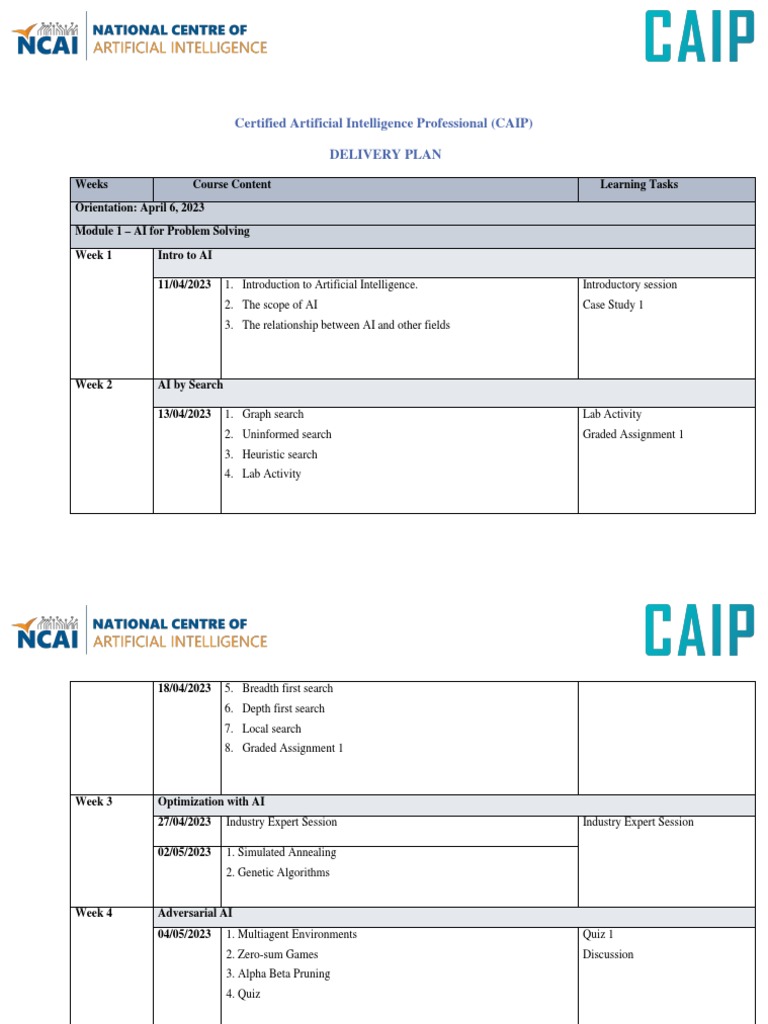 CAIP Delivery Plan | PDF