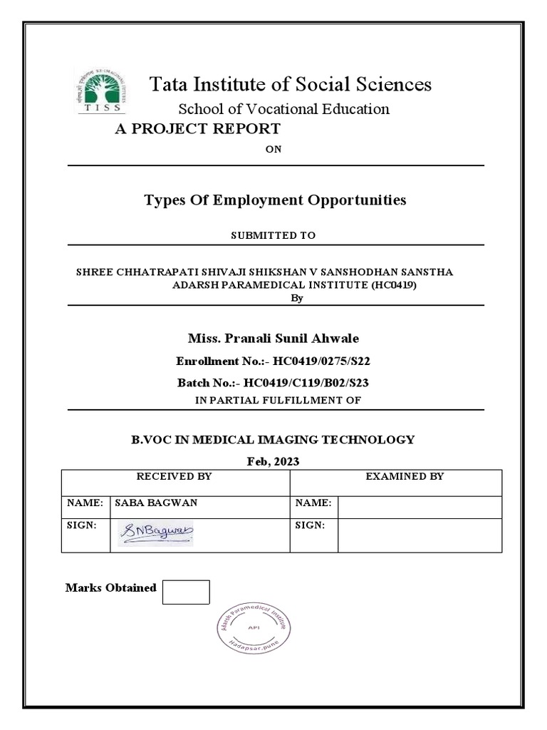 Types of Employment Opportunities PROJECT | PDF