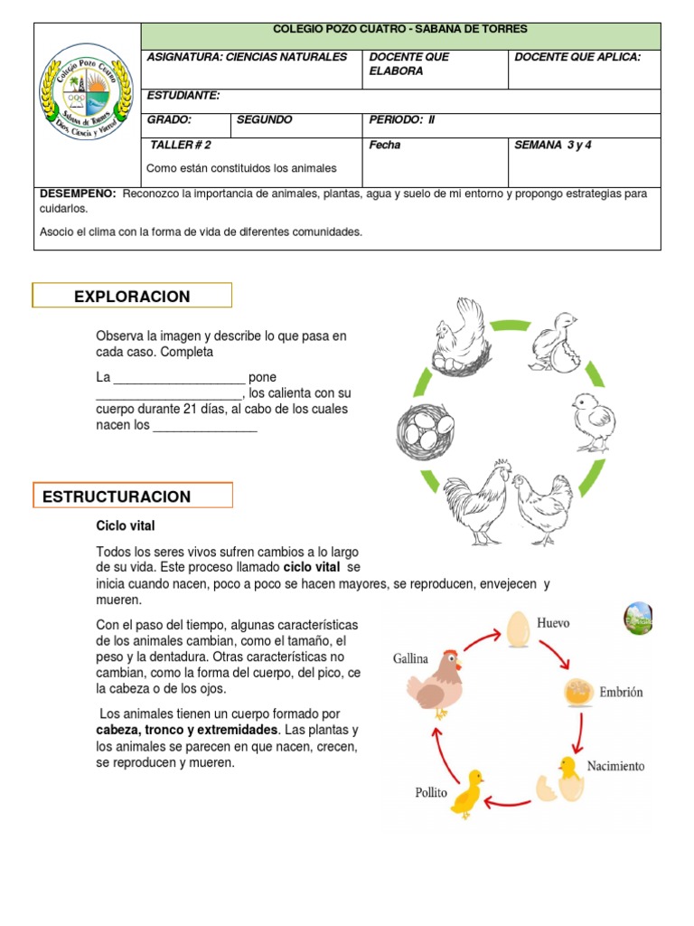 Guia 2 Ciclo Vital de Los Animales | PDF