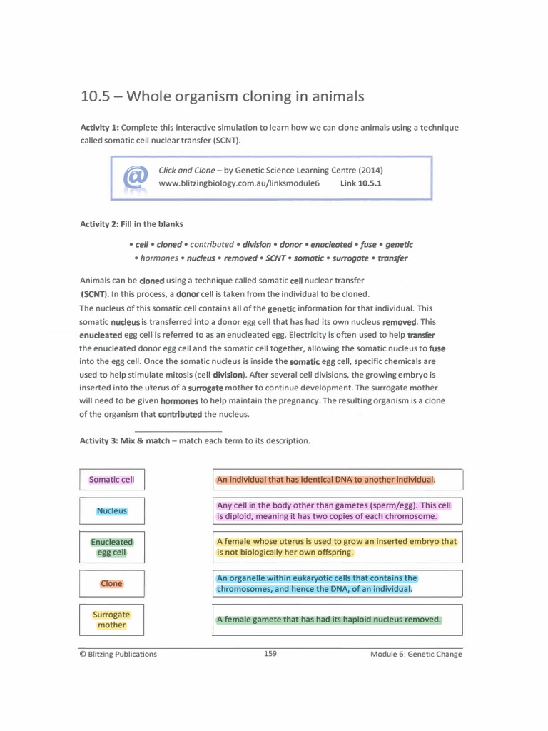 10.5 Whole Organism Cloning in Animals COMPLETED | PDF | Cloning | Cell ...