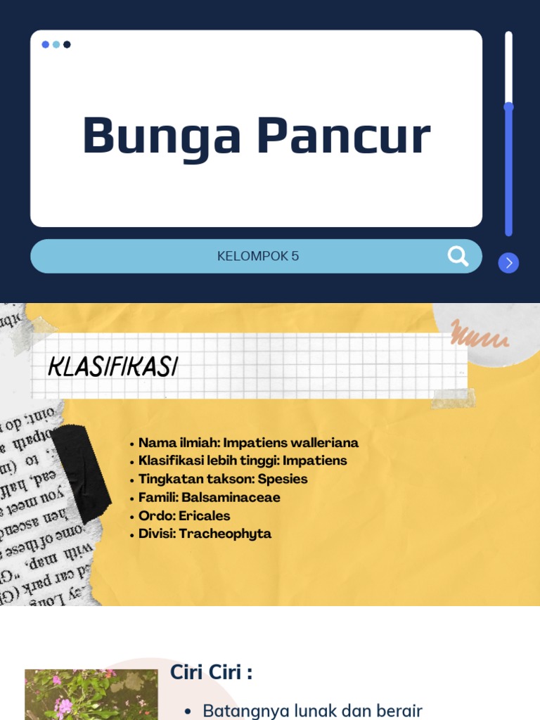Bunga Pancur | PDF