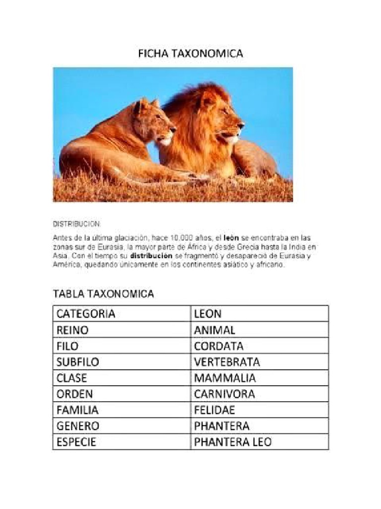 Ficha Taxonomica | PDF