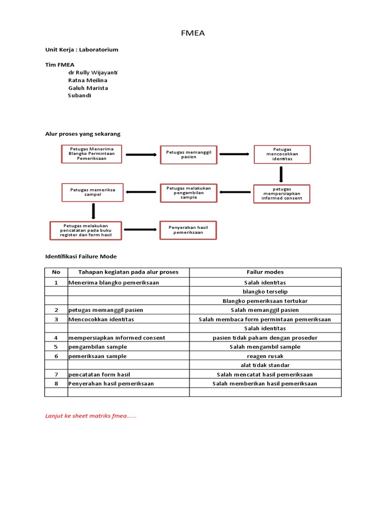 Fmea Laborat | PDF