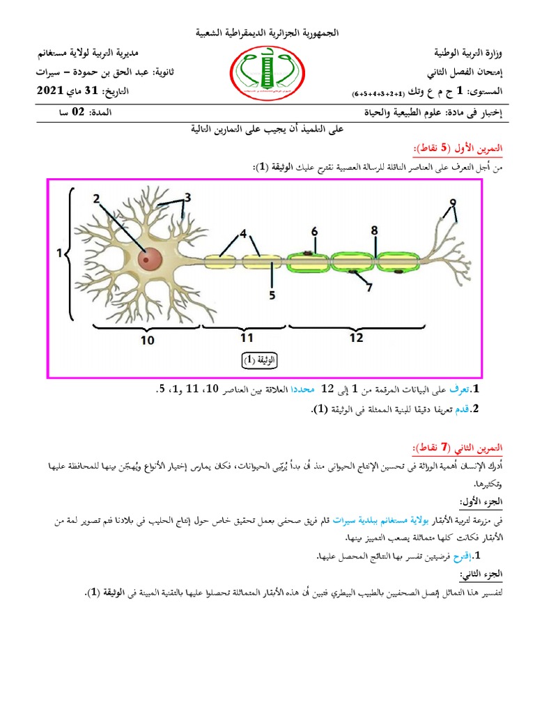 Dzexams 1as Sciences 551774 | PDF