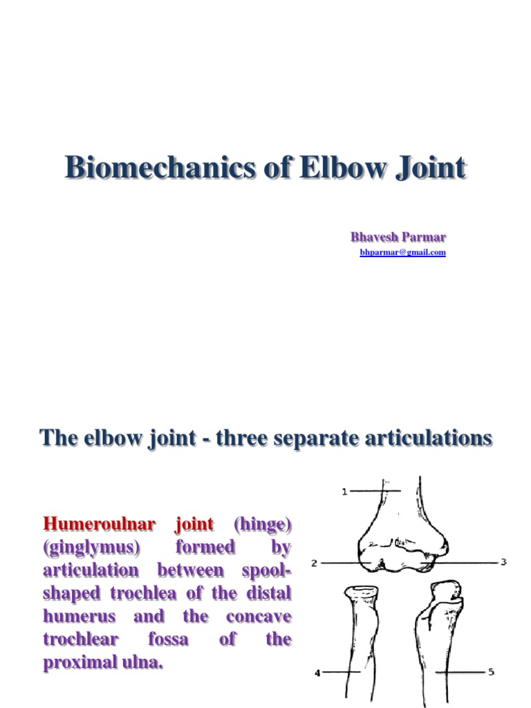 BM - Lec 11 - Mechanics of Elbow Joint | PDF | Elbow | Anatomical Terms ...