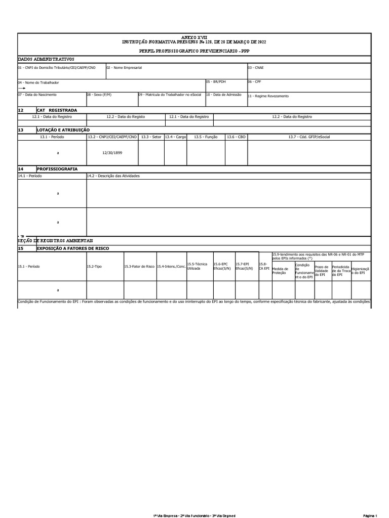 Modelo PPP - Novo | PDF