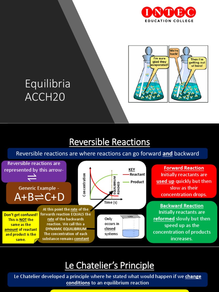 Equiliria Lecture Slides | PDF
