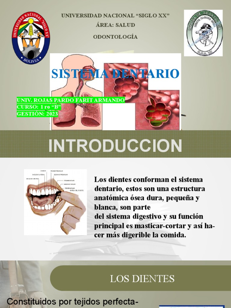 Presentacion Odonto Farit | PDF
