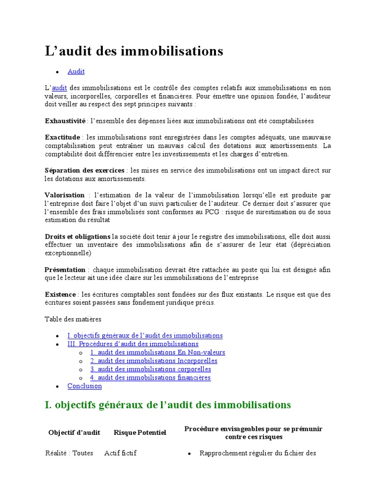 L'Audit Des Immobilisations | PDF