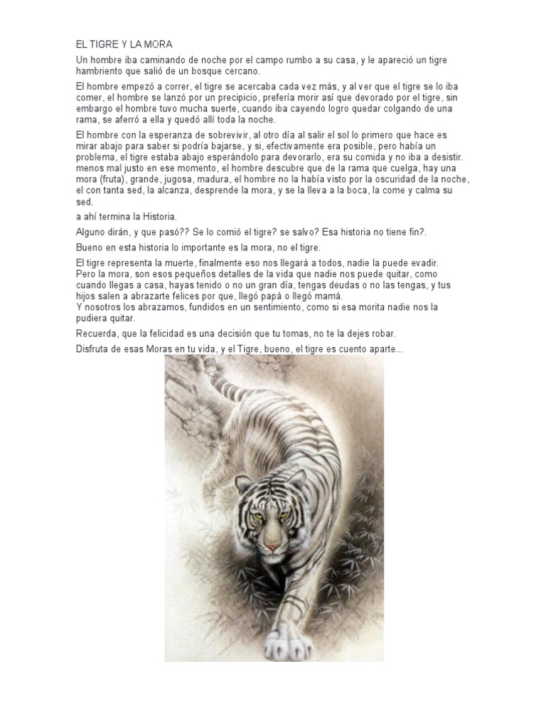 El Tigre y la Mora: Reflexiones sobre la Vida | PDF | Libros para ...