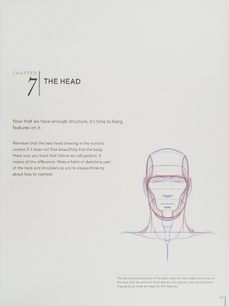 07 - The Head | PDF
