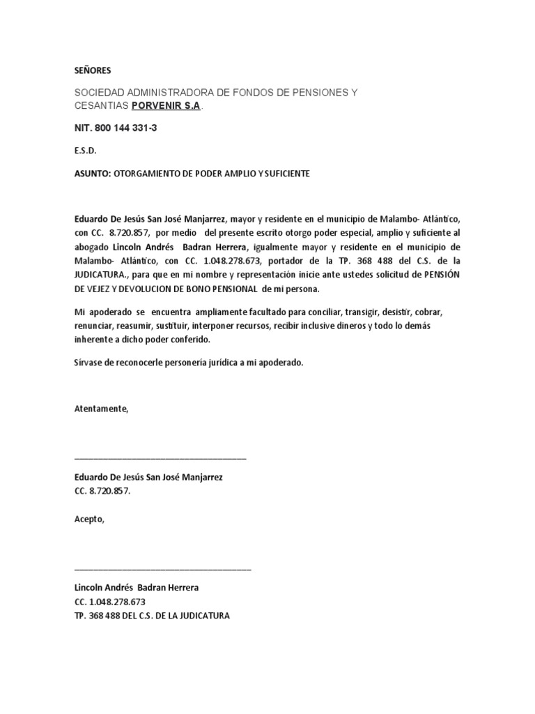 Poder Porvenir | PDF