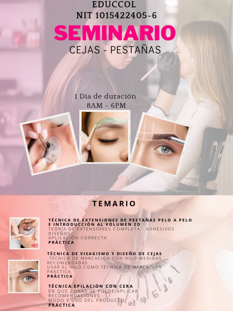 Seminario Cejas y Pestañas | PDF