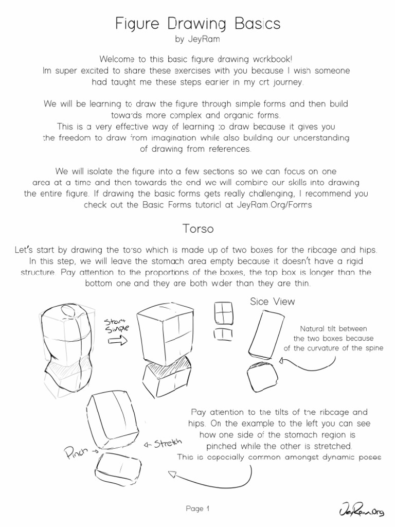 Figure Drawing Basics and Worksheets | PDF