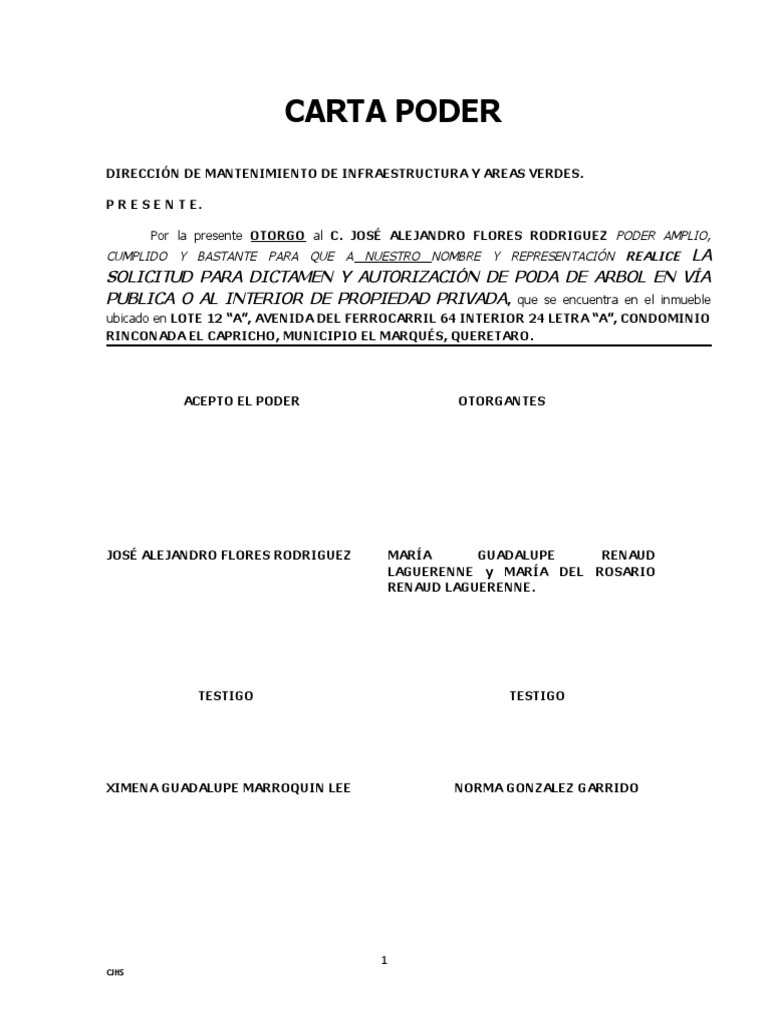 Cartas Poder Queretaro | PDF