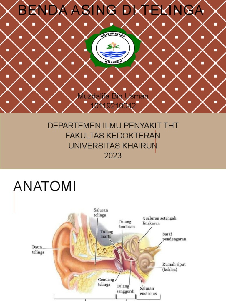 Salin-sgl-benda Asing Pada Liang Telinga | PDF