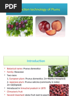 CRD RBD Factorial FRBD Design Analysis Sheet in Excel by Sangita | PDF ...