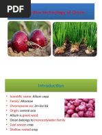 Onion Farming Manual | PDF