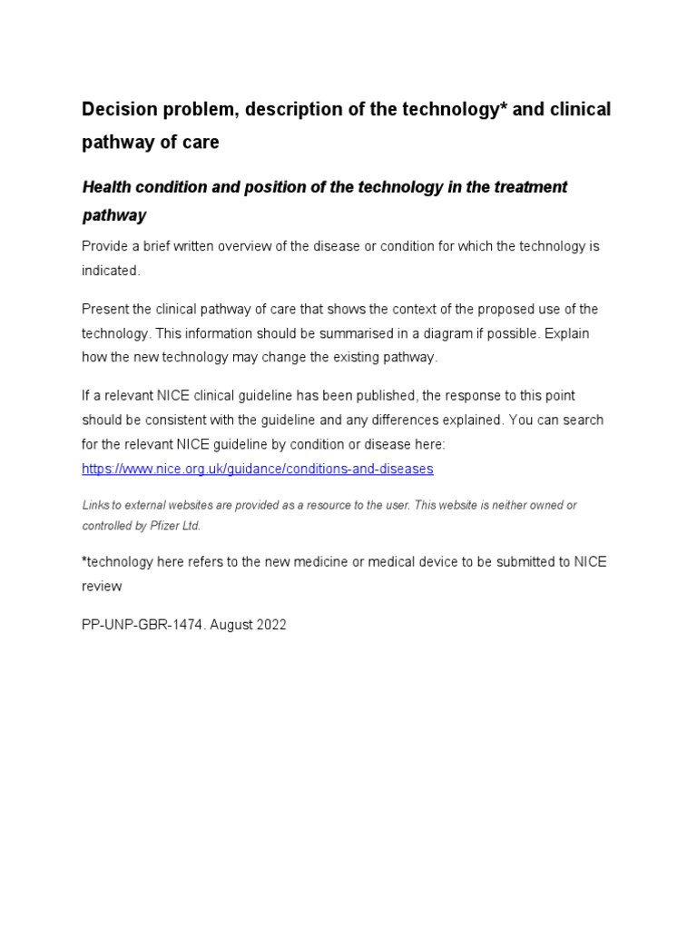 Task 2 - NICE Company Evidence Submission - Template | PDF