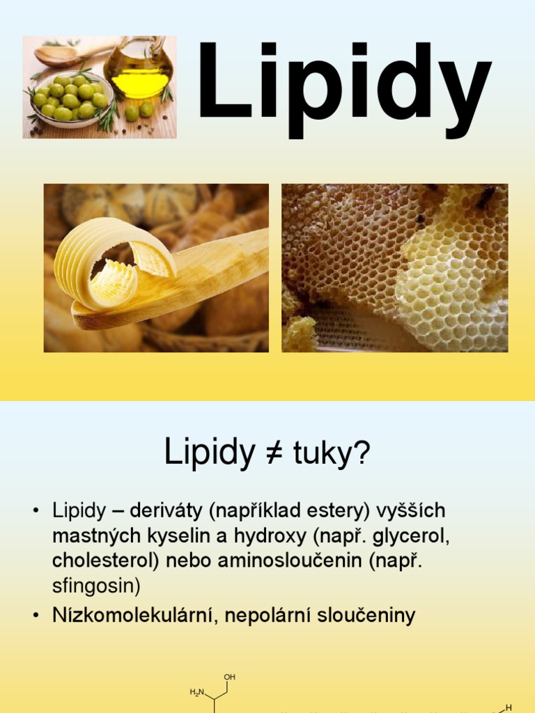 2 Lipidy | PDF