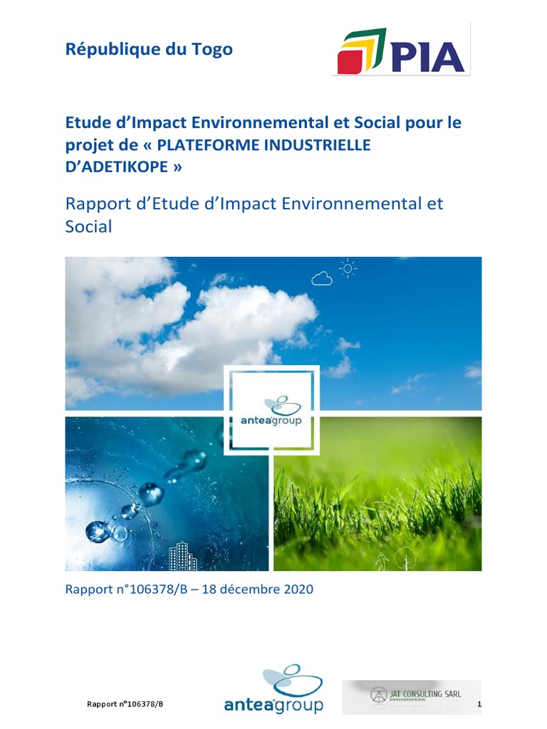 Rapport Eies Pia Vf | PDF