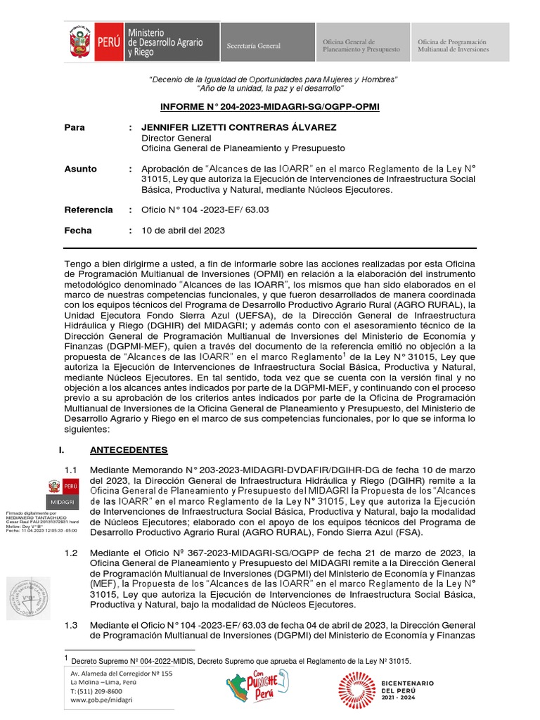IOARR Modalidad Nucleos Ejecutores | PDF