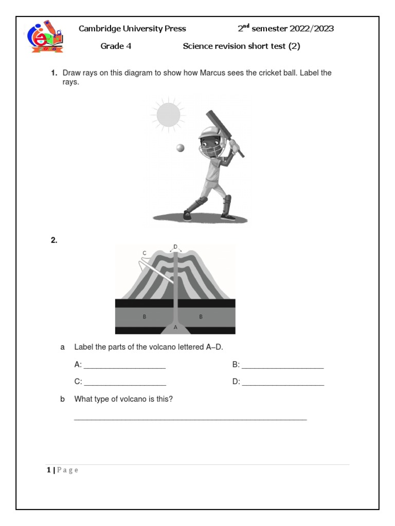 Grade 4 Science Revision Test 2 | PDF