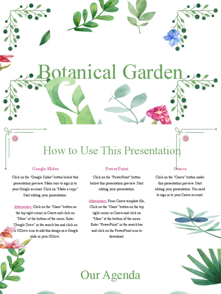 Canva Botanical Presentation Guide | PDF | Microsoft Power Point ...