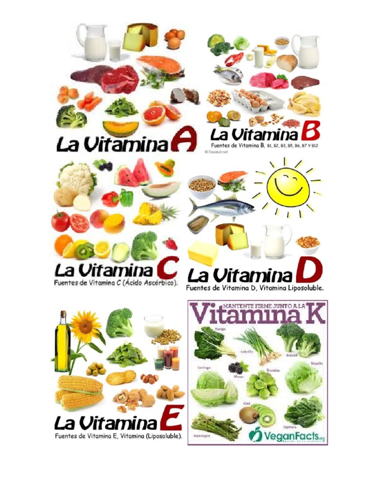 Vitaminas A, B, C, D, E, K | PDF
