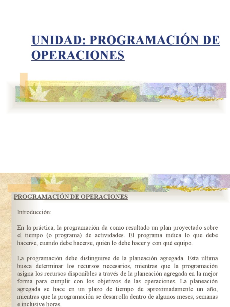 1 Programación de Operaciones | PDF | Informática