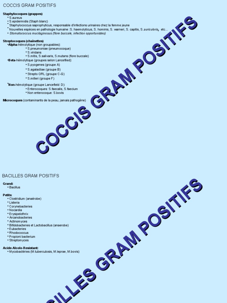 Bacteries-Gram Et Classification | PDF