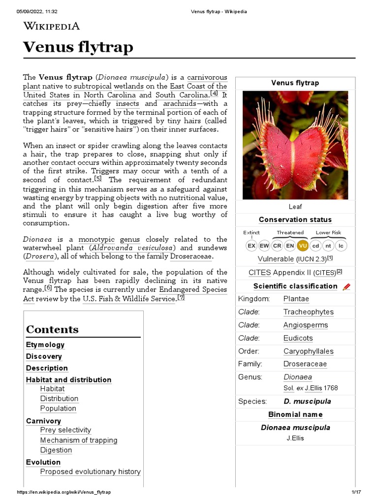 Venus Flytrap - Wikipedia | PDF