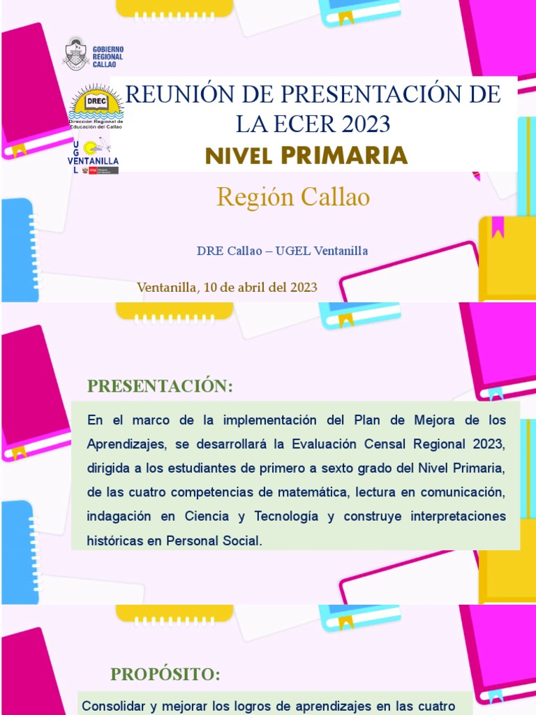 Protocolo - Ecer de Inicio Primaria Callao 2023 | PDF