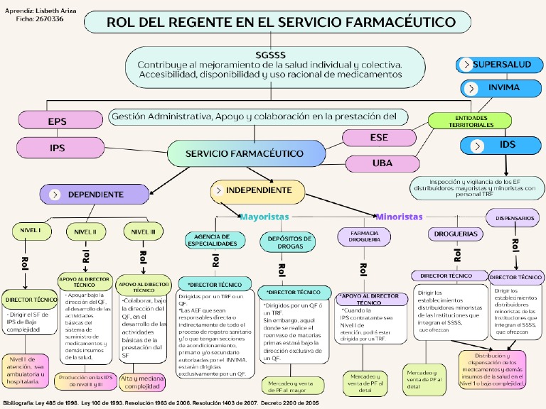 Rol Del Regente en Farmacia | PDF