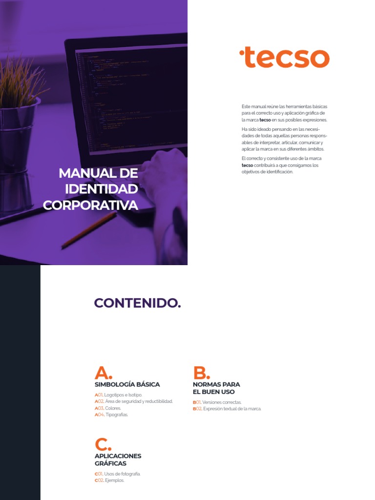Tecso Manual | PDF | Logos | Marca