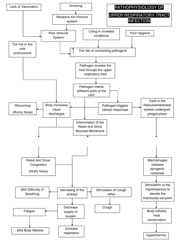 Pa Tho Physiology of URTI