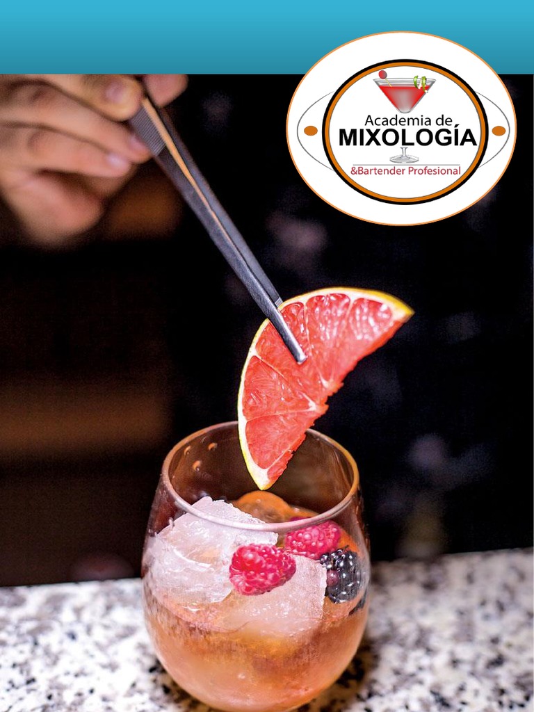 Guía de Mixologia | PDF | Martini (Cóctel) | Bebidas Mixtas