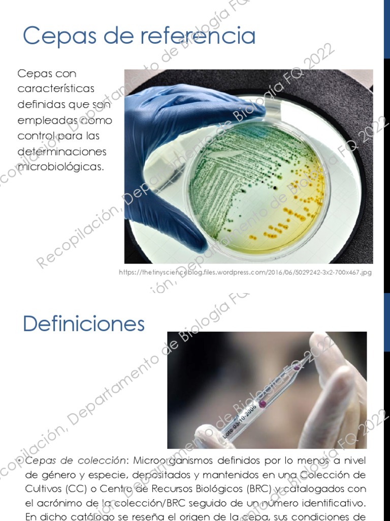 Importancia de las Cepas de Referencia | PDF