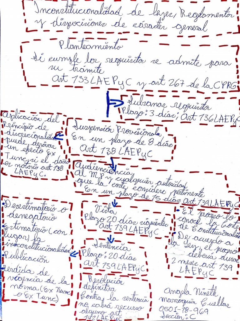 Esquema de Inconstitucionalidad de Ley | PDF