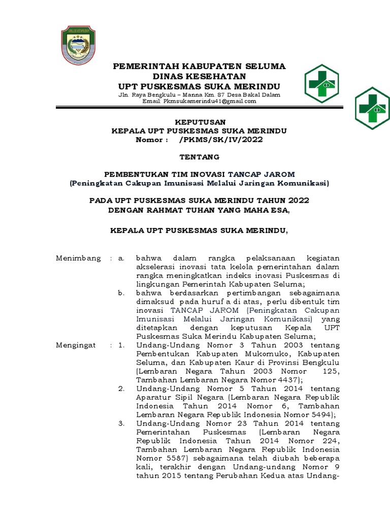 SK Tim Inovasi Imunisasi | PDF