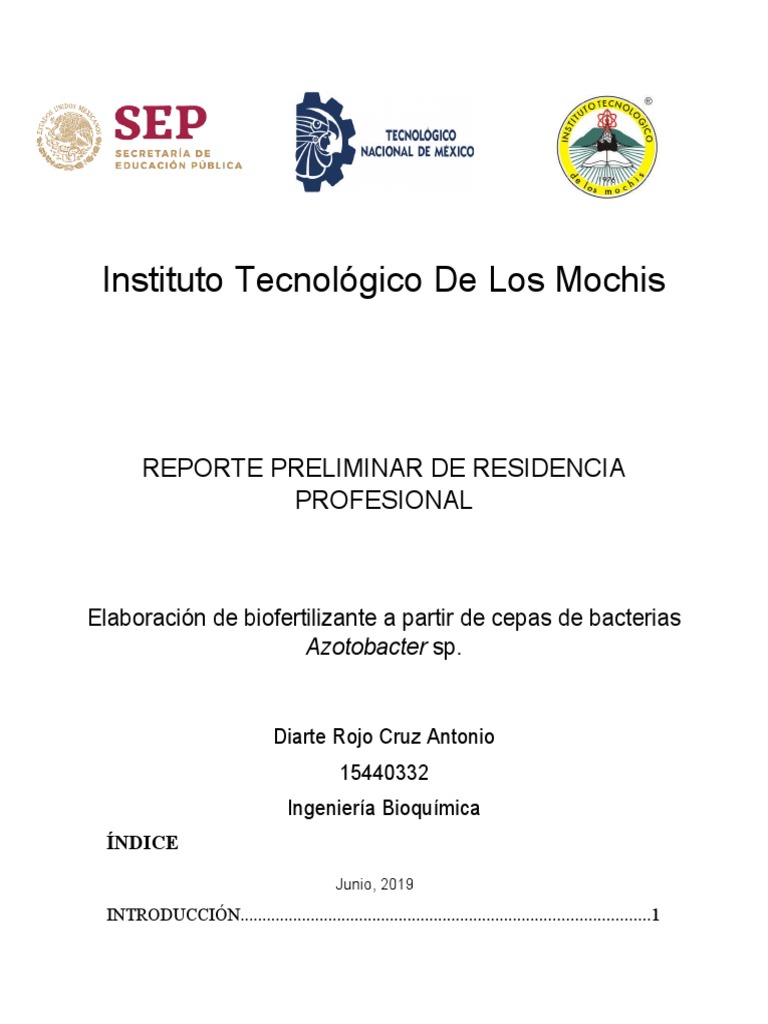 Reporte Preliminar de Residencia Profesional FINAL | PDF